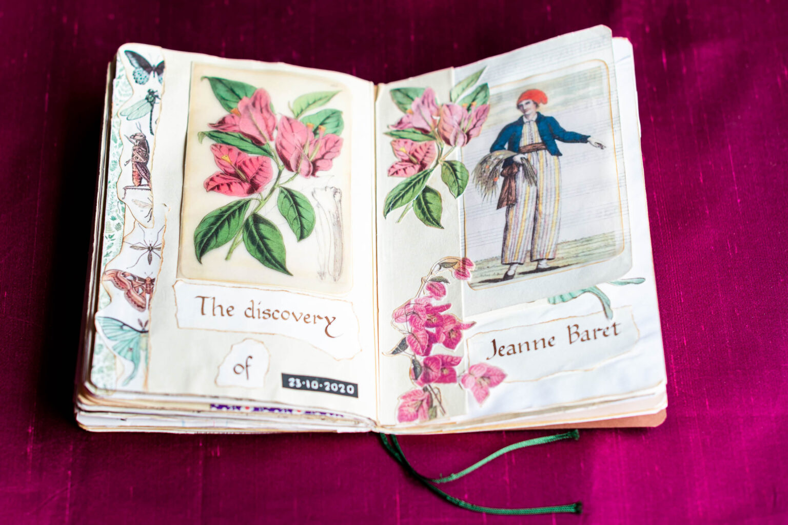 Jeanne Baret: Botanica francesa • López-Linares